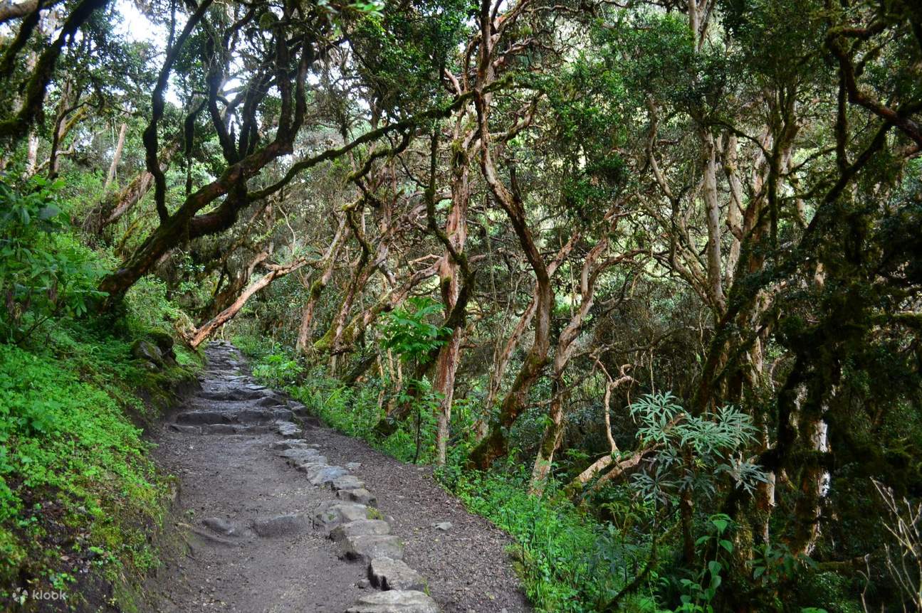 Explore Ancient Wonders: Machu Picchu Inca Trail Hike Adventure in Peru ...