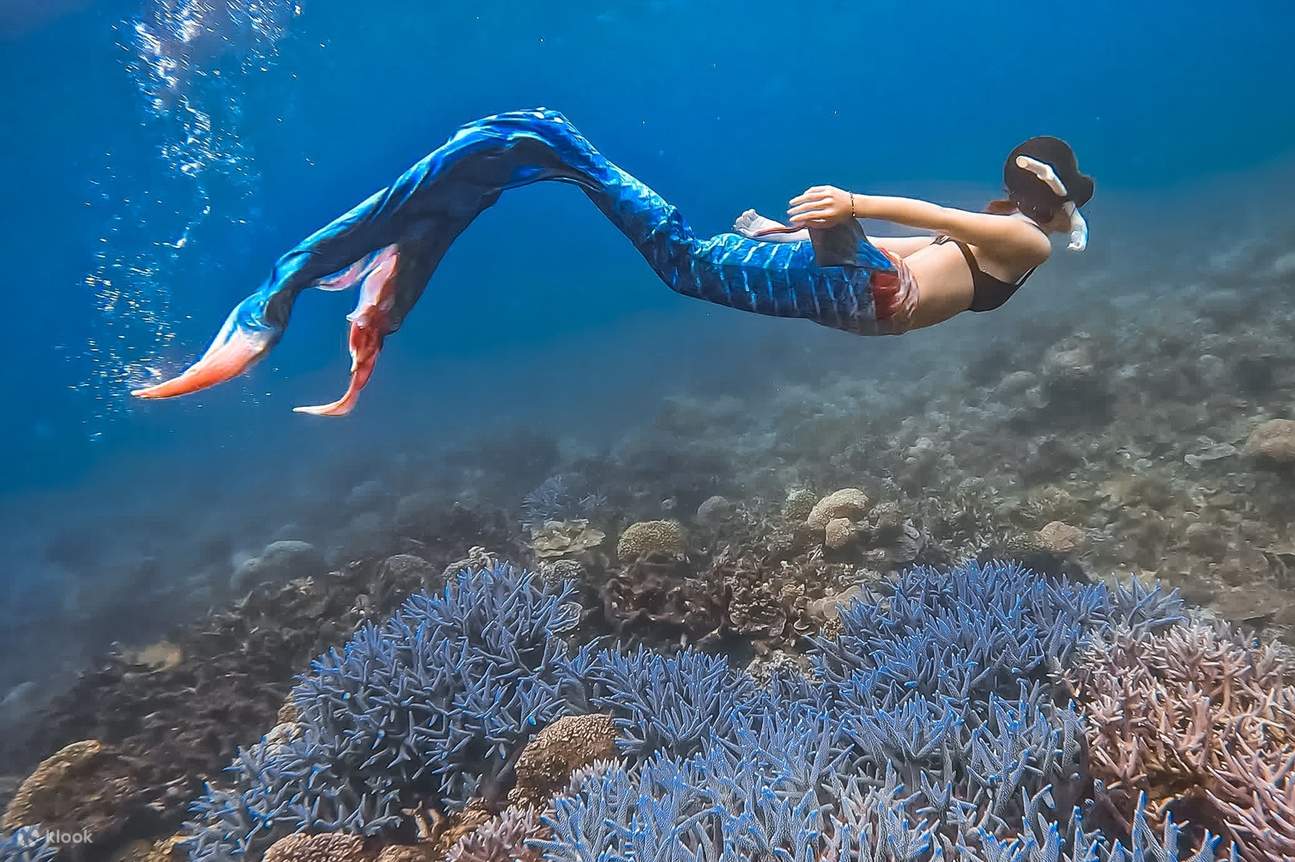 Penghu South Sea Lavender Forest & Rose Garden Diving + Water ...