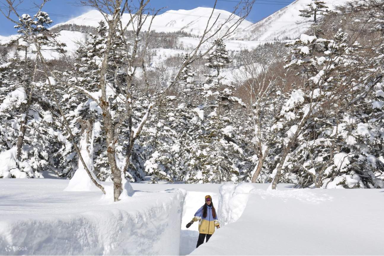 Nagano Departure: Tsugaike Ski & Snowboard Day Trip Bus Tour - Klook ...