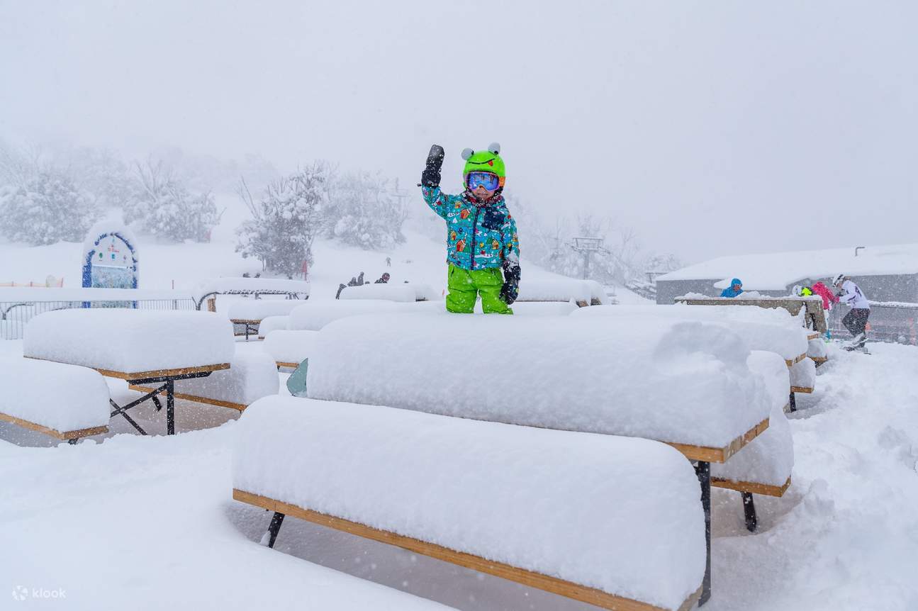 1 Day Perisher Snow Tour - Klook