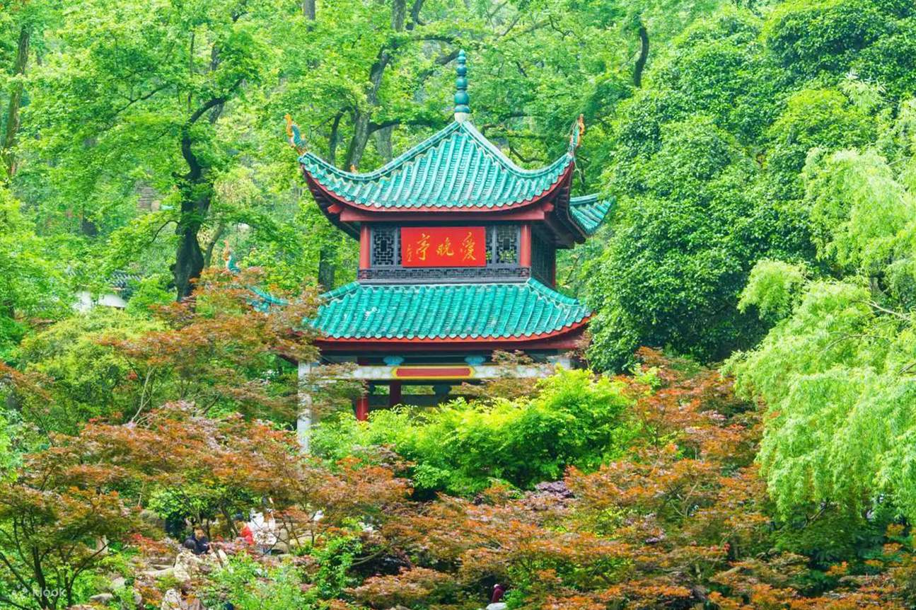 Changsha Food and Culture Tour Private Tour for 1 Person (1958 Chairman ...