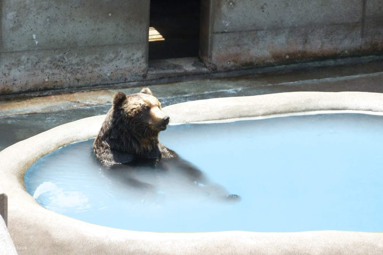 Lake Toya & Bear Ranch & Noboribetsu Hell Valley Day Trip - Klook Hong Kong