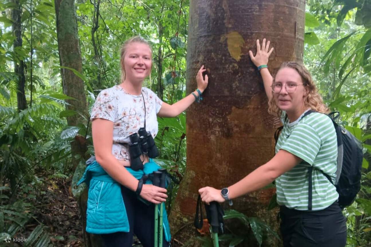 Immerse in Nature: Manu Rainforest Tour 4 Days for an Unforgettable ...