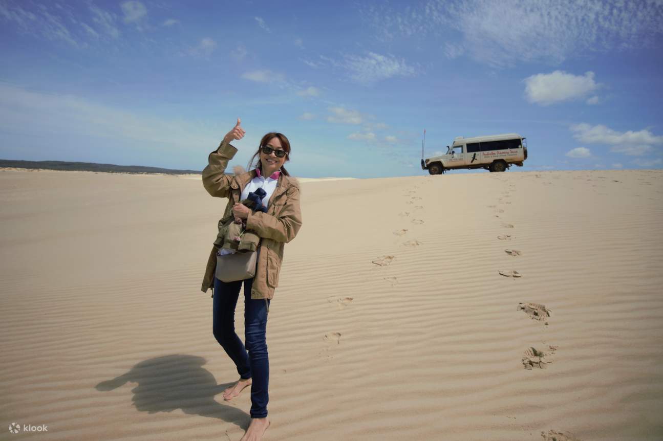 Beach And Forest 4WD Tour in Pemberton - Klook Philippines