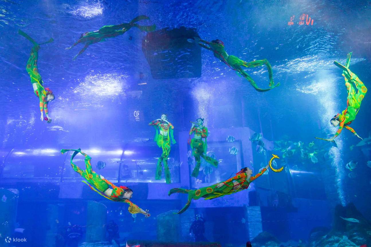 Guangzhou Zhengjia Polar Ocean World - Klook Singapore