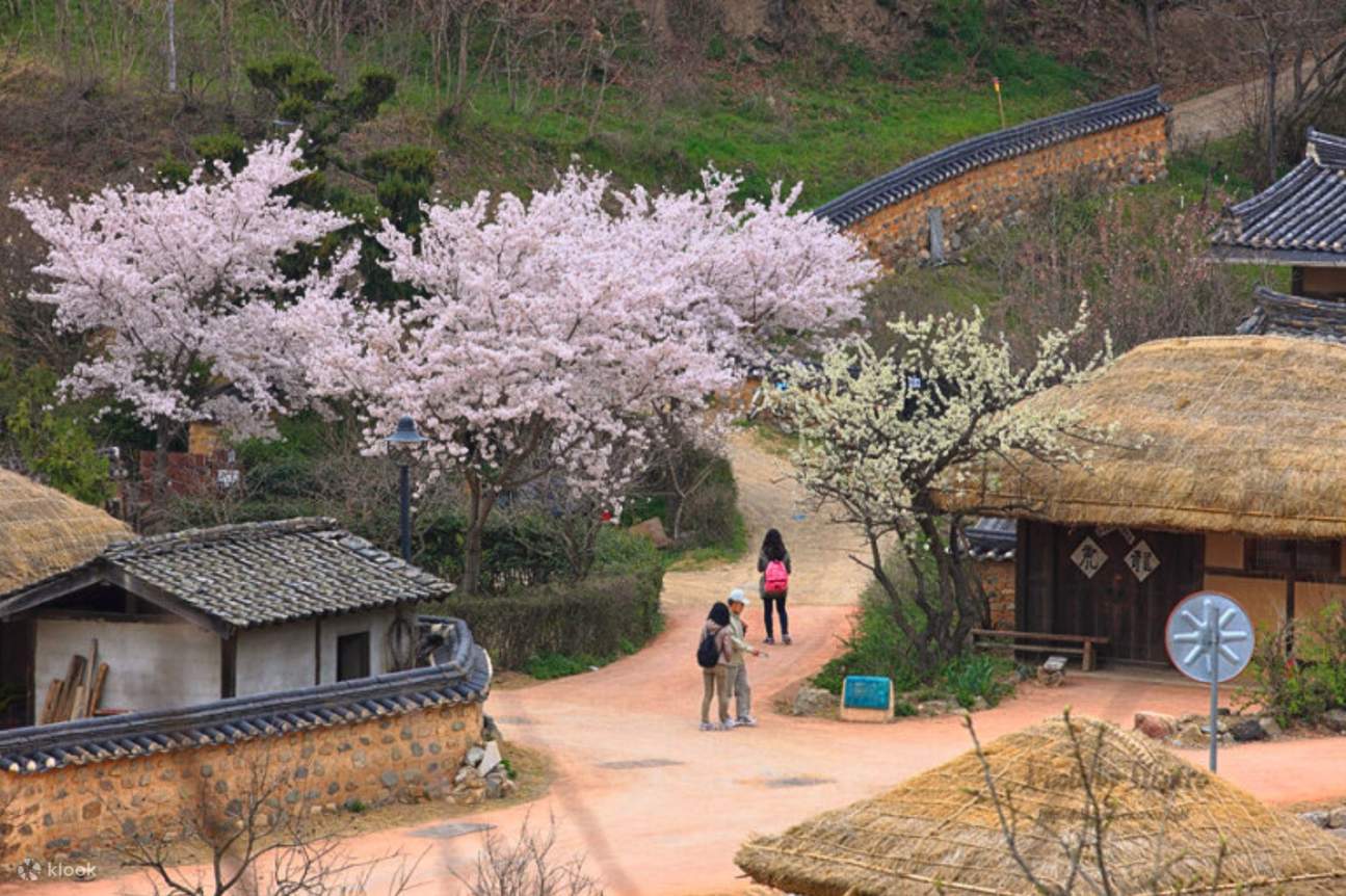 Tour autunnale di Gyeongju Hwangnidan-gil x Tempio Bulguksa (Busan ...