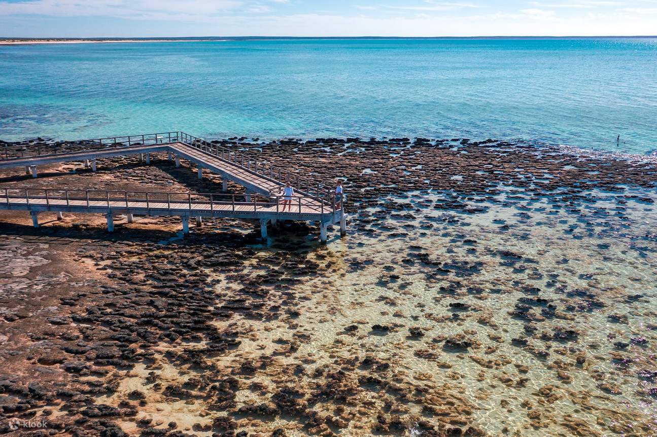 4 Day Monkey Mia Bus Tour - Klook