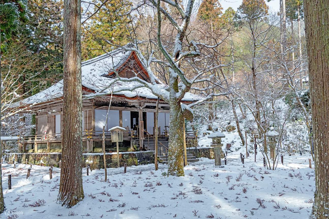 Kyoto Sanzen-in Temple & Arashiyama Train & Sagano Bamboo Forest Trail ...