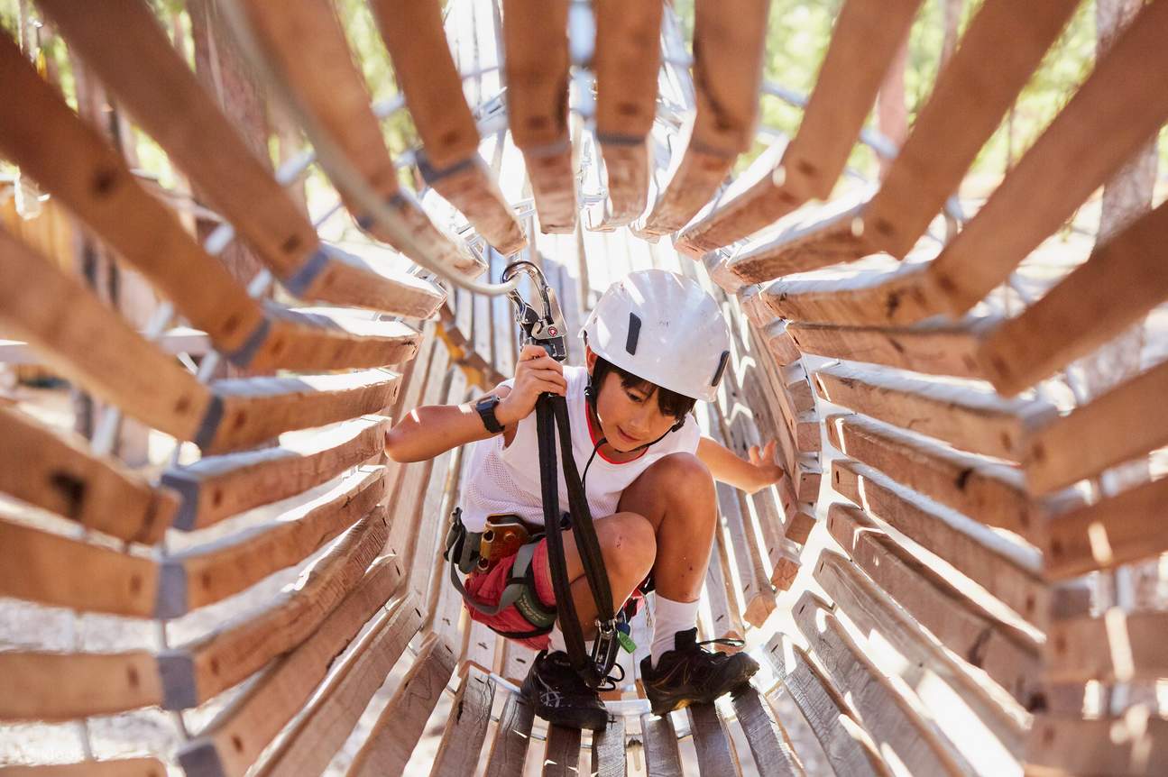 Eintritt in den Forest Adventures Park in Busselton - Klook, Vereinigte ...