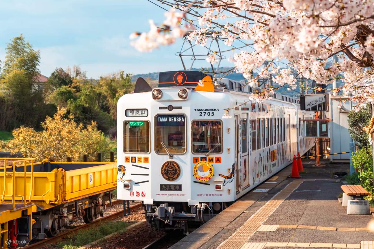 Wakayama Day Trip: Cat Stationmaster Kishi Station train experience ...