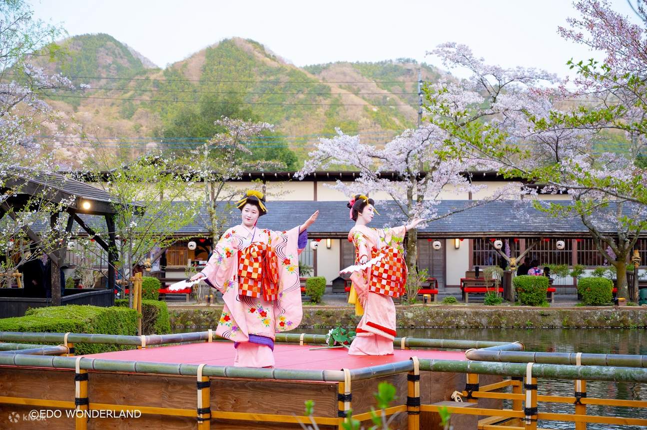 Enjoy special fireworks at Nikko Edomura & Visit NikkoToshogu Shrine ...