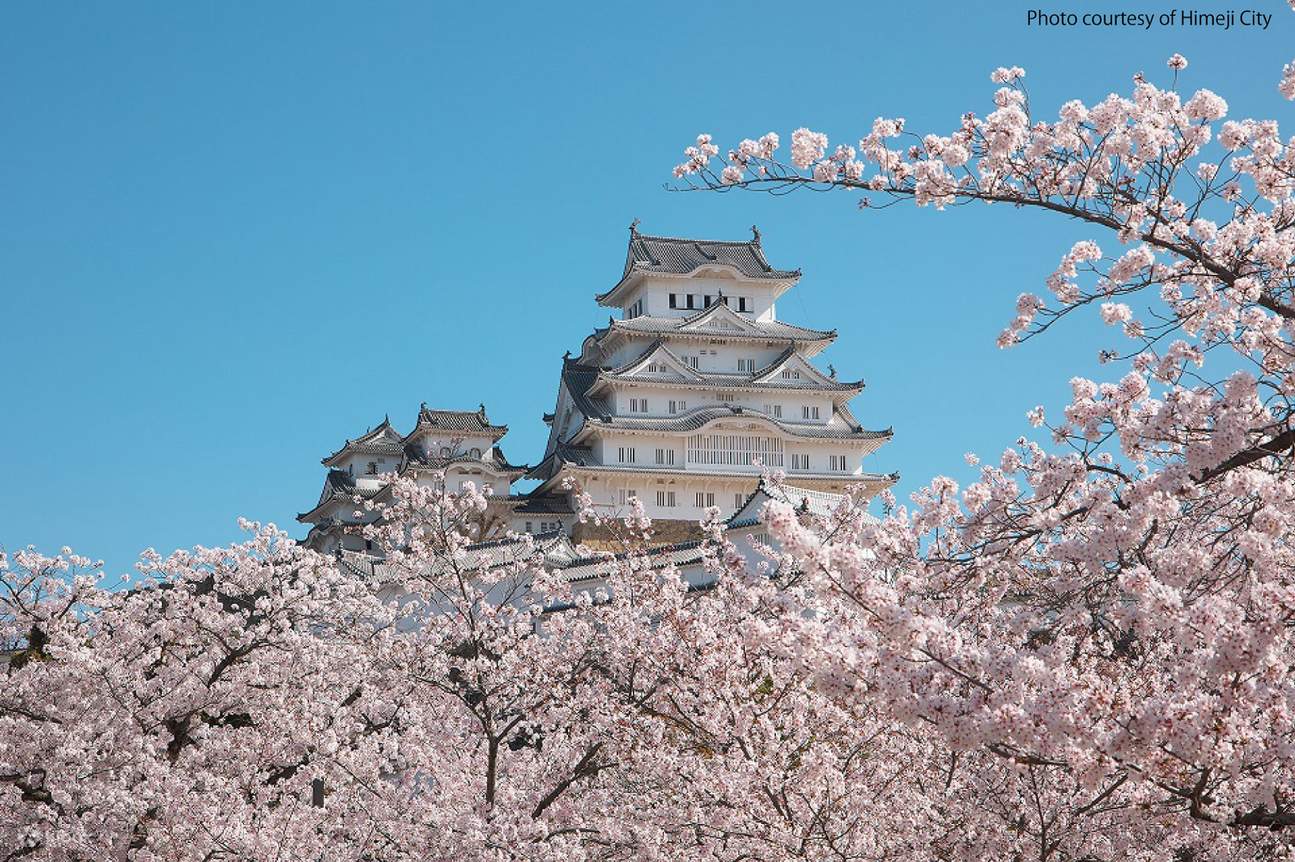 World Heritage Himeji Castle & Akashi Kaikyo Bridge Walking Tour - Klook