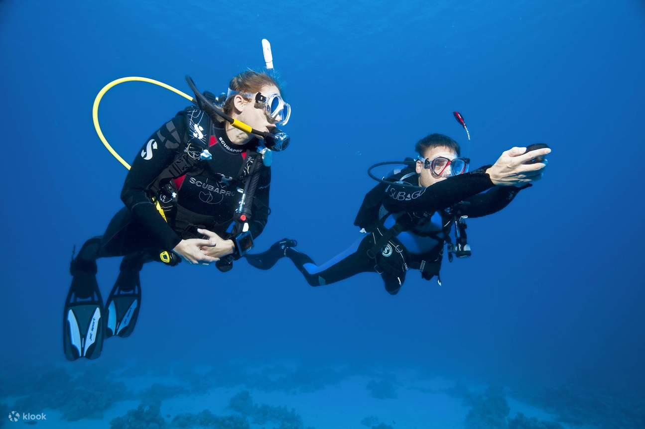 Menyelam Scuba Kemer dengan Makan Siang BBQ & Transfer dari Belek ...