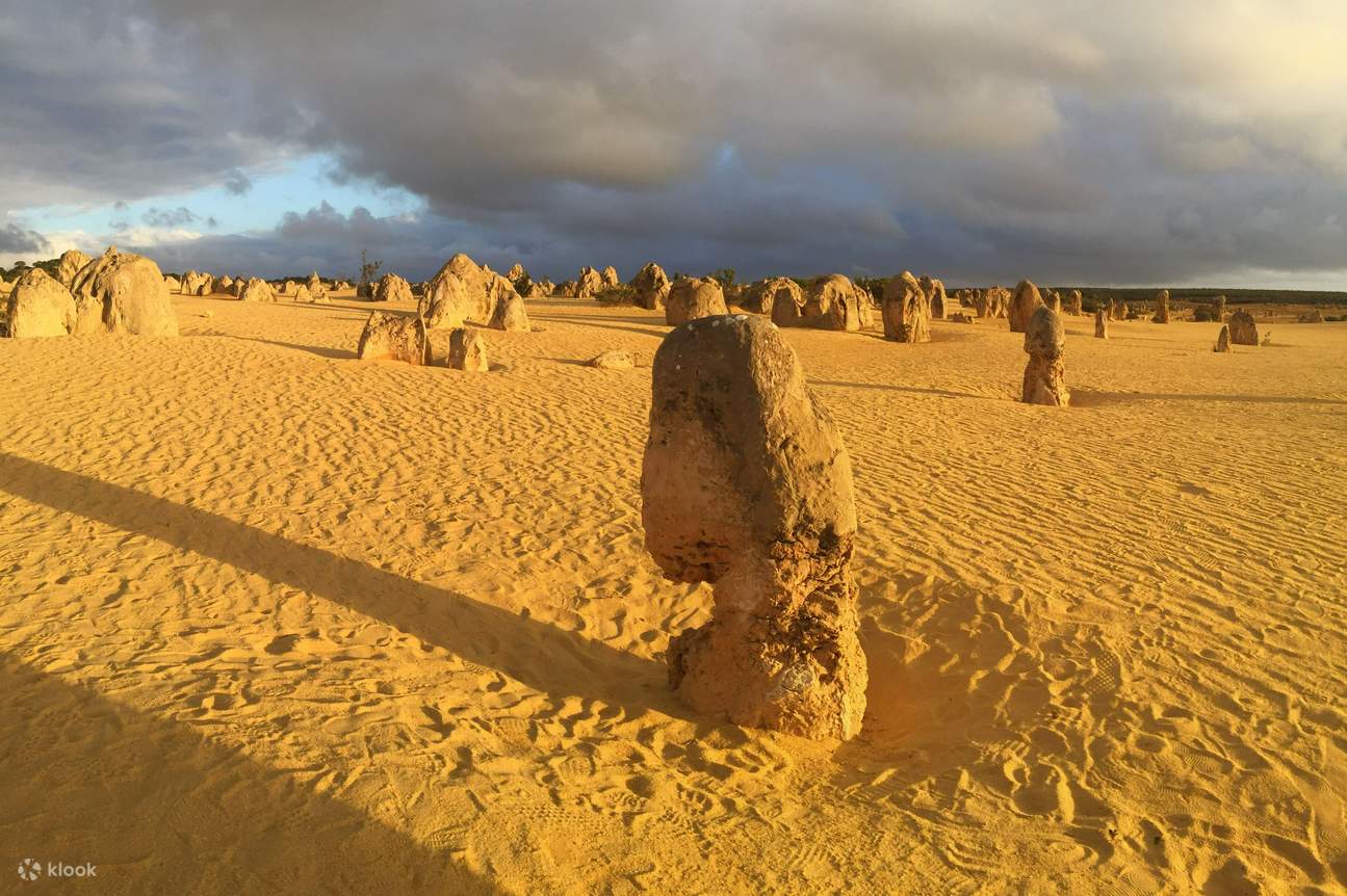 Pinnacles and Lancelin Sand Dunes Full Day Tour in Perth Bus Tour ...