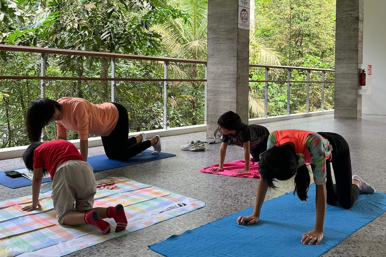 Half Day Children Mindful Nature Camp in Singapore - Klook