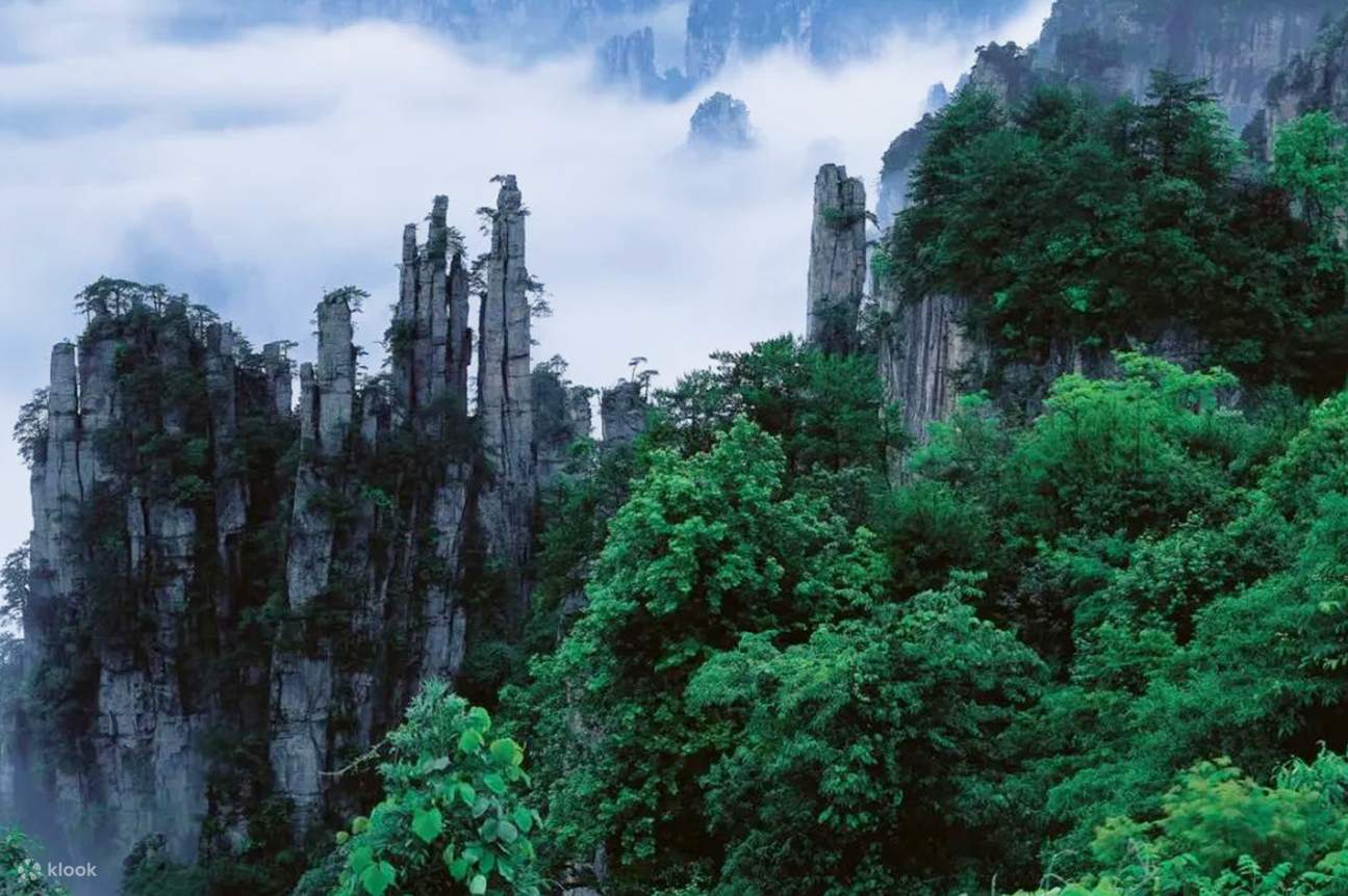 Zhangjiajie National Forest Park Tianmen Mountain Grand Canyon 3-day ...