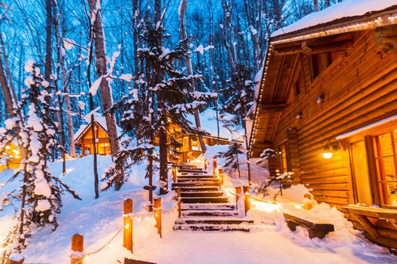 Blue Pond Illumination & Ningle Terrace & Shikisai-no-oka & Christmas ...