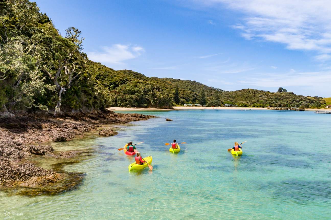 Sightseeing Ferry Charter Trip for Otehei Bay - Klook