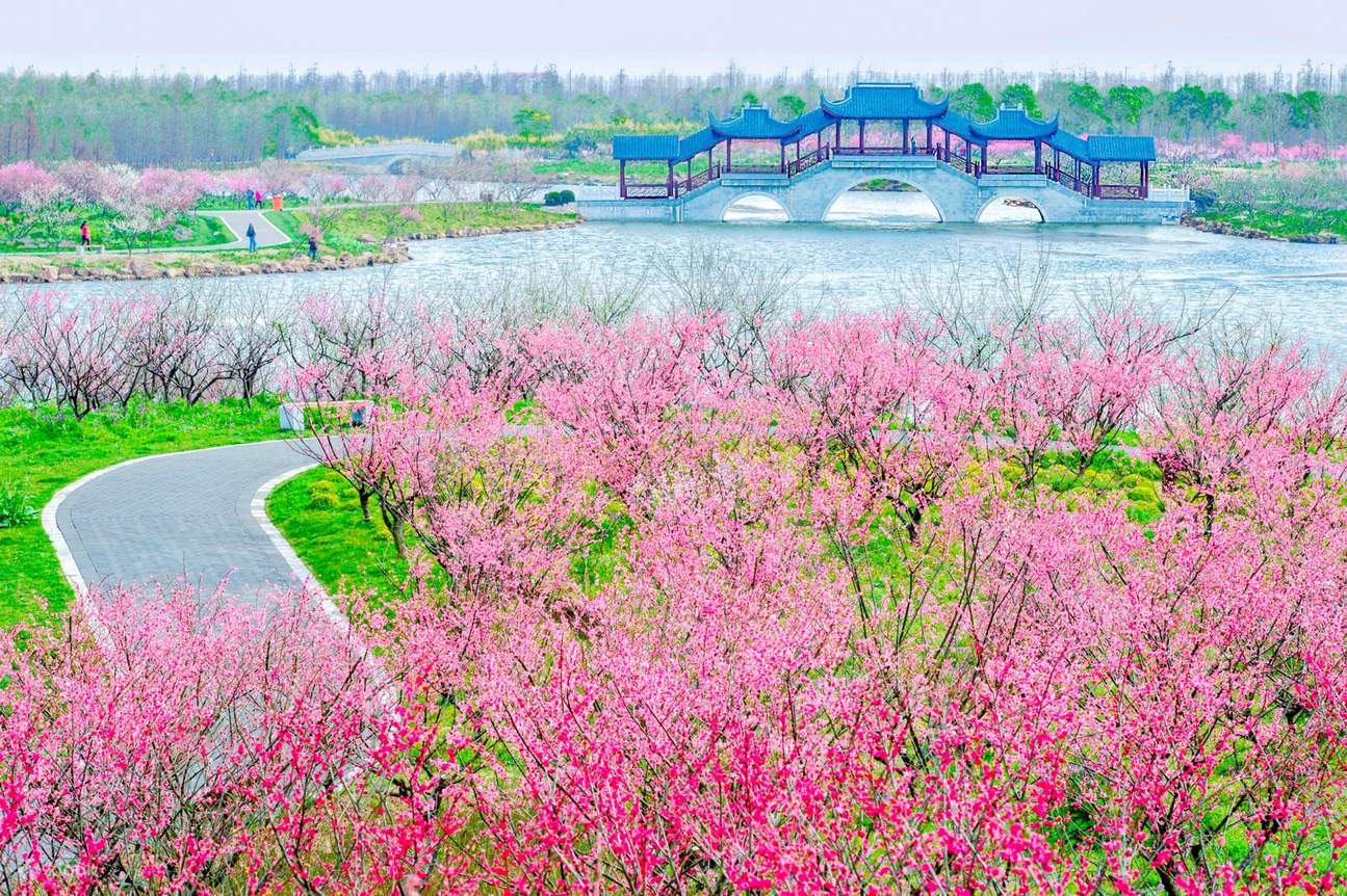 Shanghai Haiwan National Forest Park - Klook