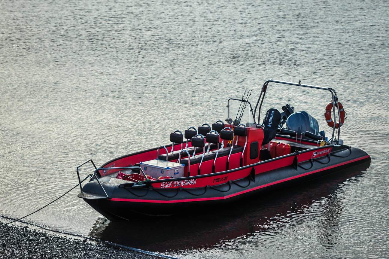 One-Day Arctic Boat Tour: Glaciers and Wildlife of Isfjorden - Klook