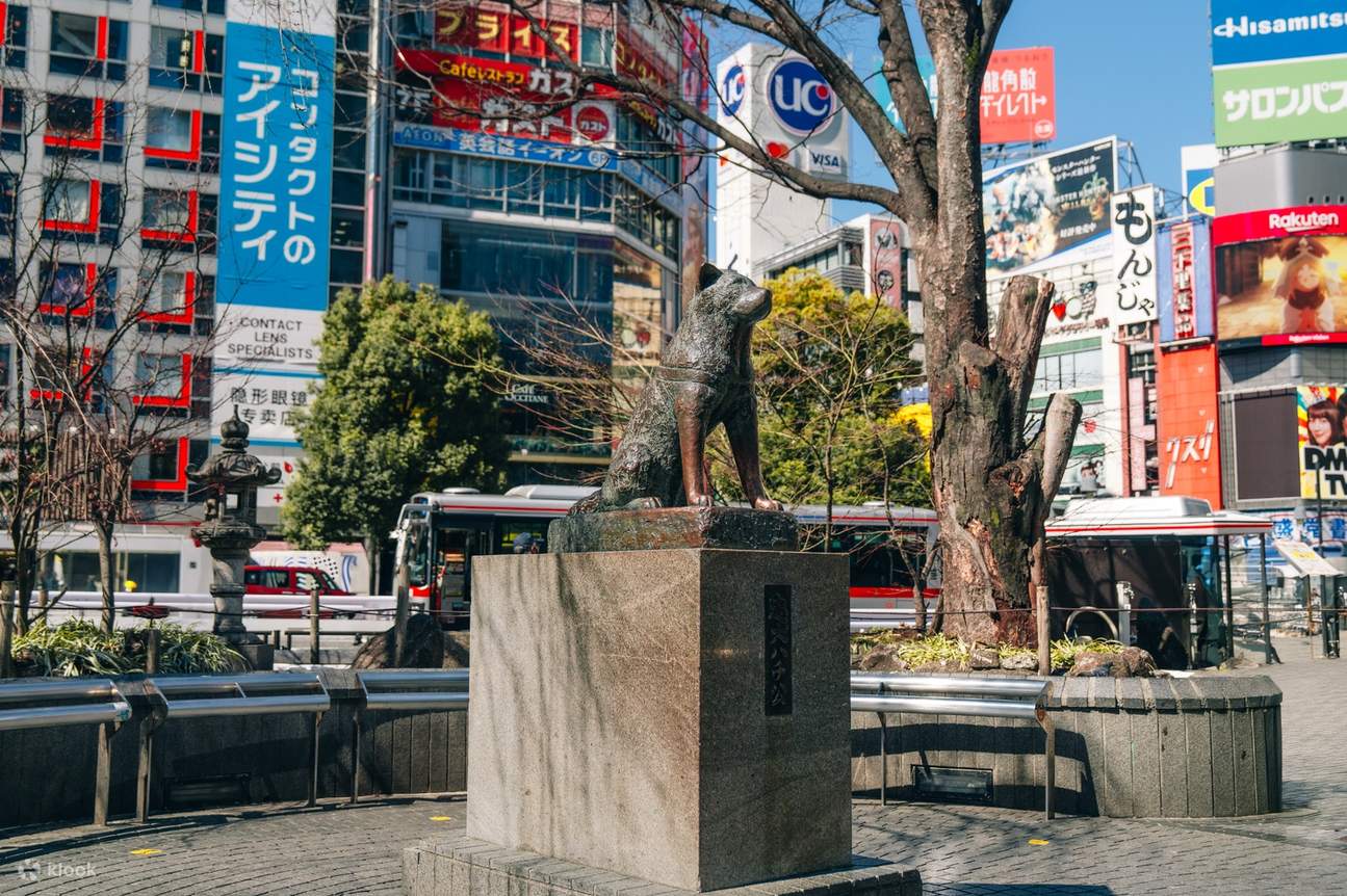 Tokyo Early Morning Tour Asakusa Meiji Shrine and Tsukiji Market ...