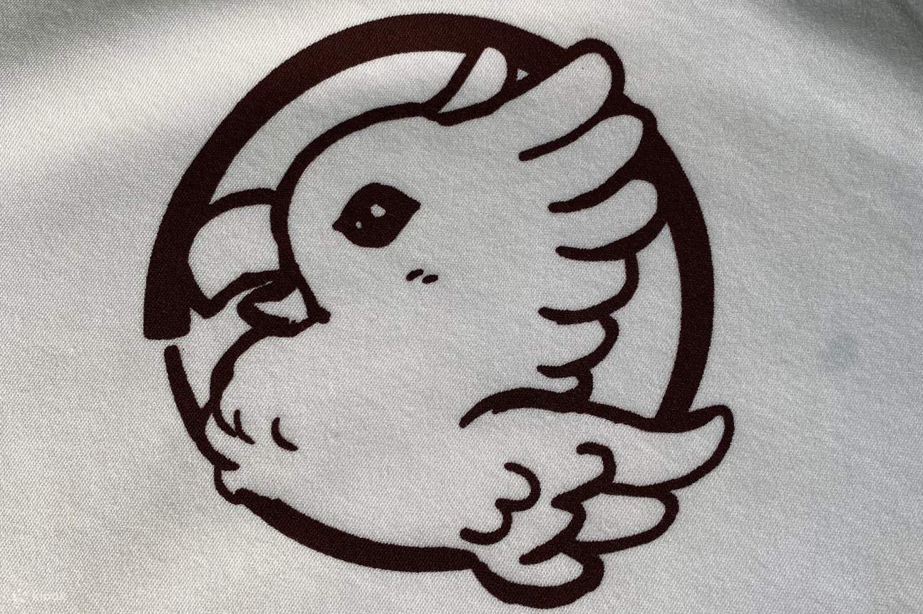 Atelier d'impression sur soie Chibi Art par Lazo - Klook États-Unis