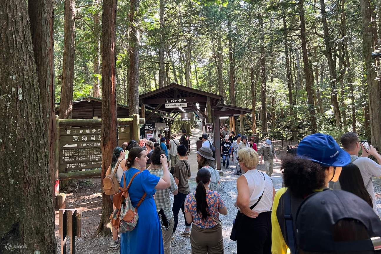 Chureito Pagoda, Aokigahara Forest, and Oishi Park One Day Bus Tour ...