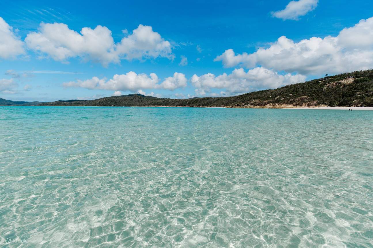 힐 인렛hill Inlet과 화이트헤븐 비치whitehaven Beach 조인 휘트선데이 반나절 투어 클룩 Klook 한국
