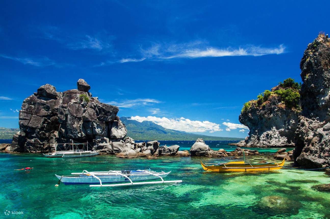 Apo Island Adventure: Snorkeling & Sea Turtle Encounters - Klook Australia