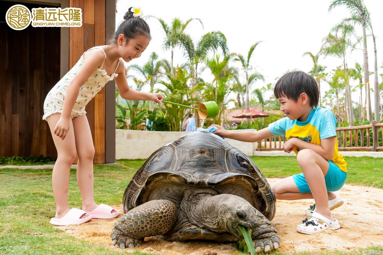 Qingyuan Chimelong Forest Hot Springs Park - Klook India