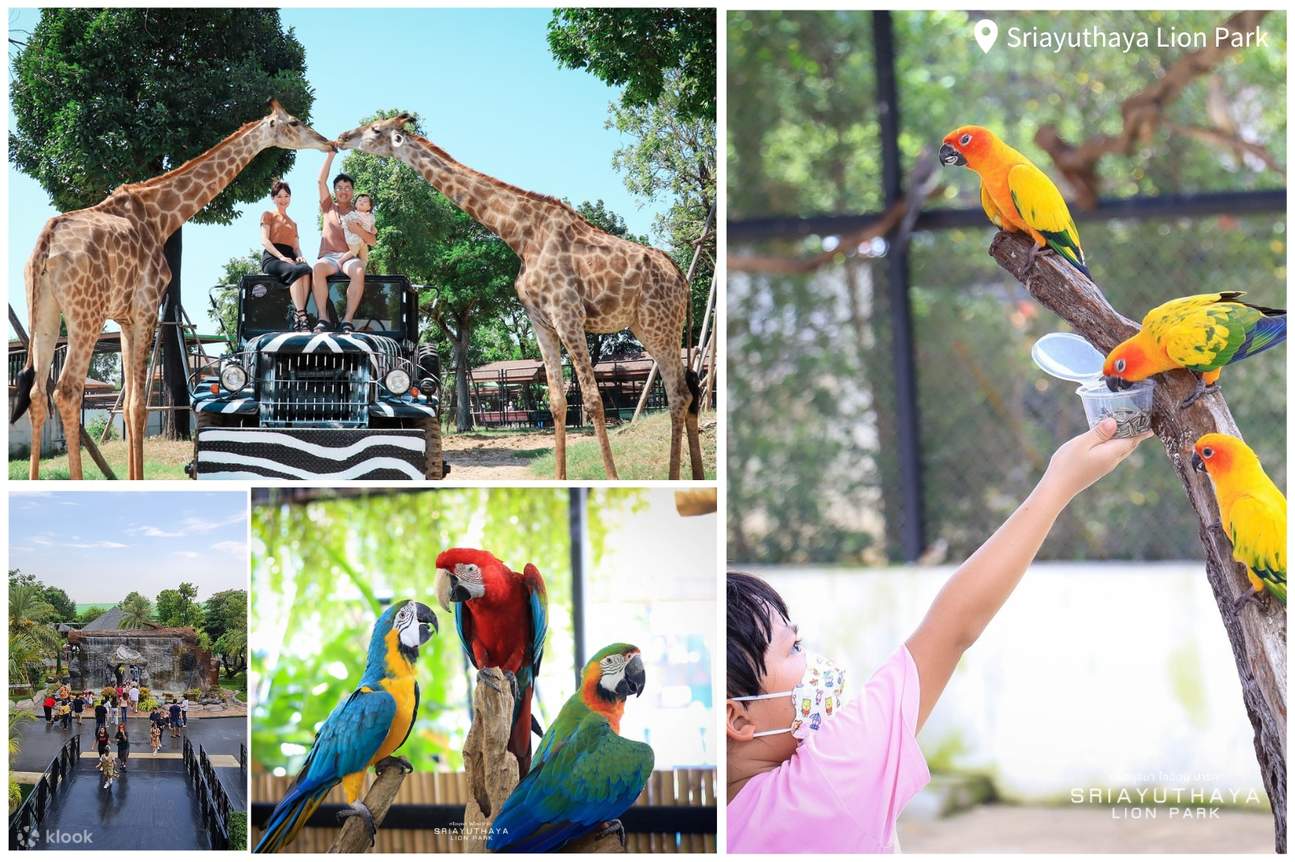 The Ancient Old Temples Of Ayutthaya And Sriayuthaya Lion Park - Klook ...