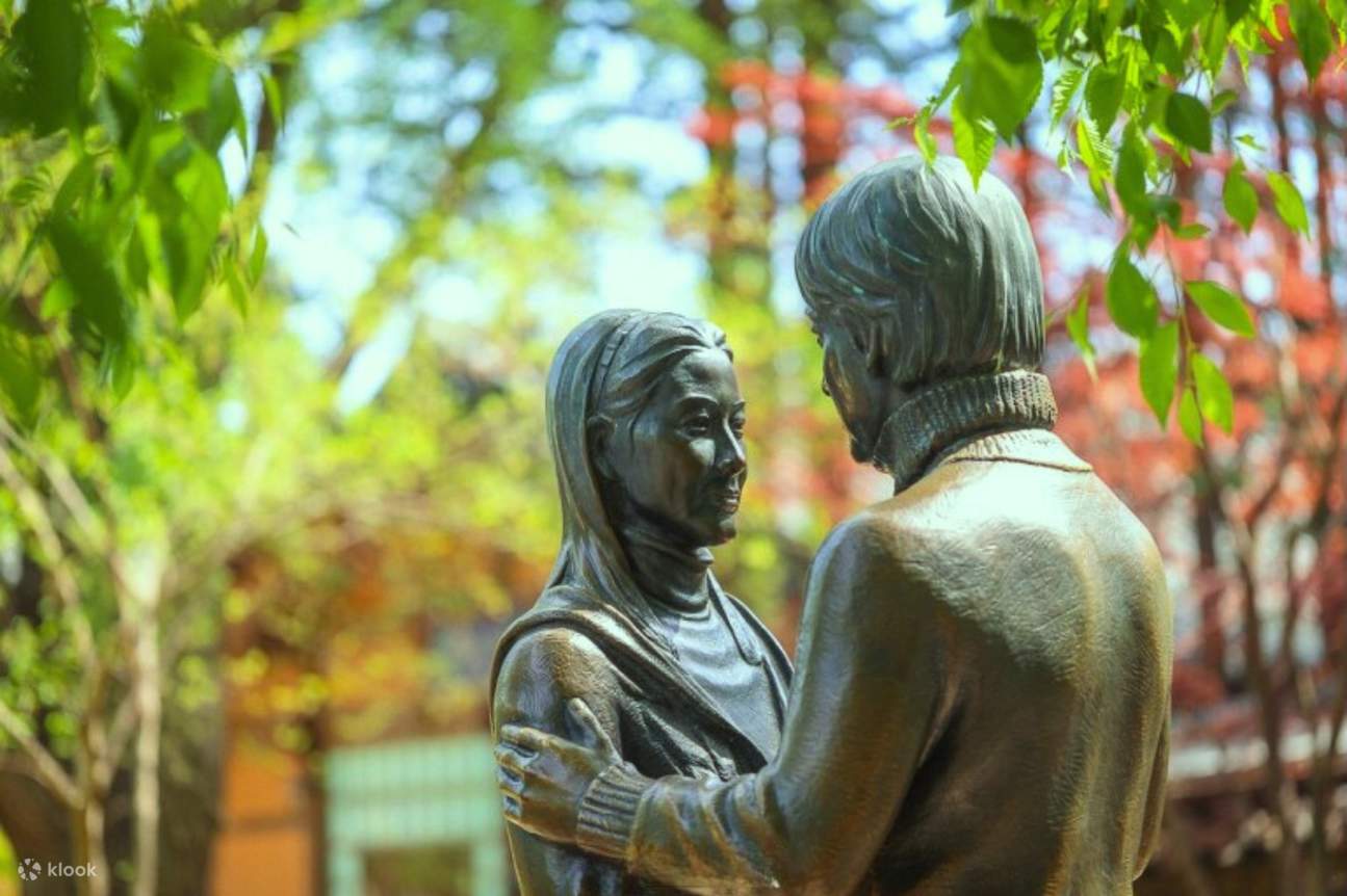 Nami Island and Garden of Morning Calm Lighting Festival Tour - Klook ...