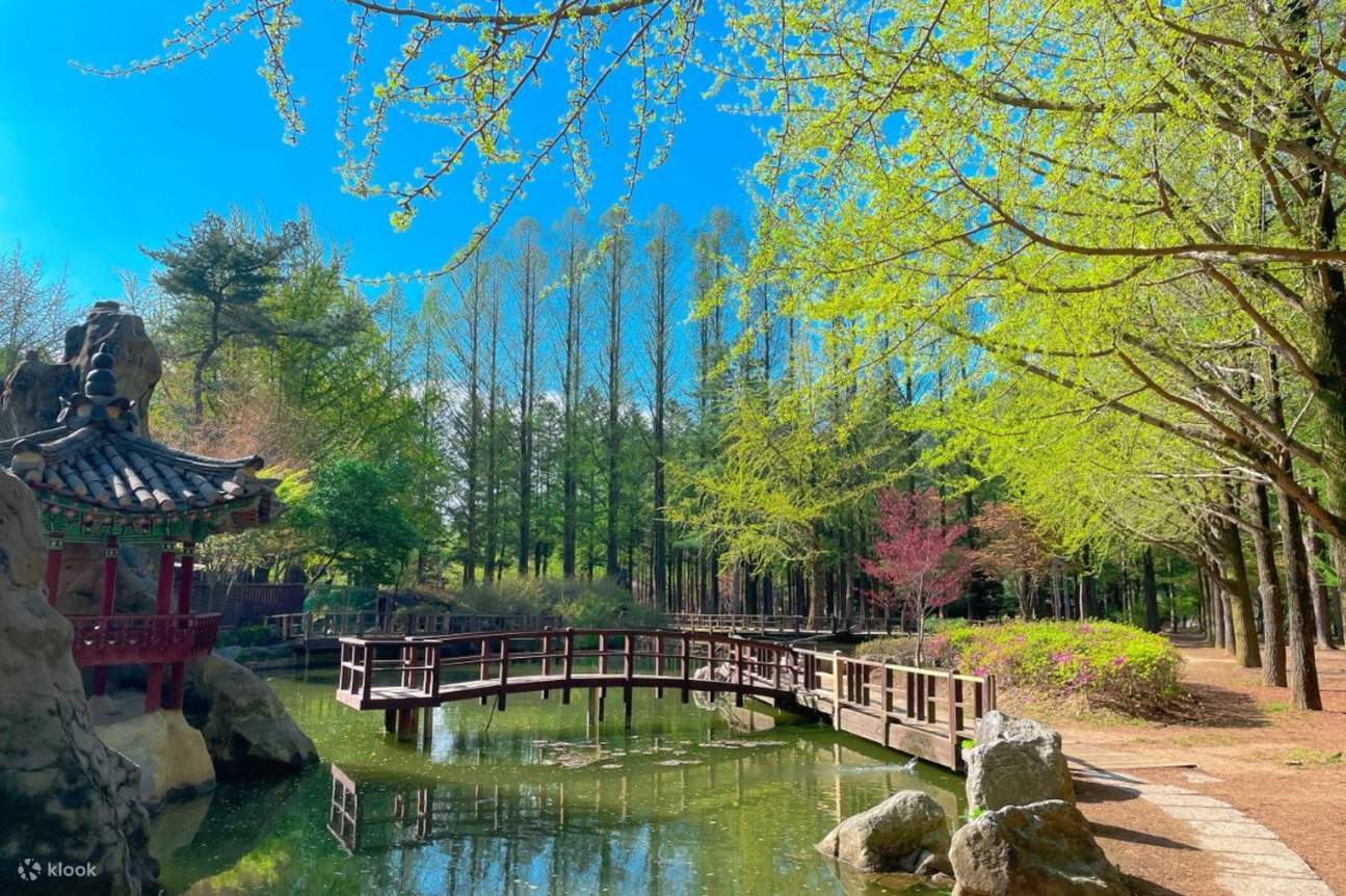 Nami Island, Alpaca Pasture & The Garden of Morning Calm Tour - Klook ...