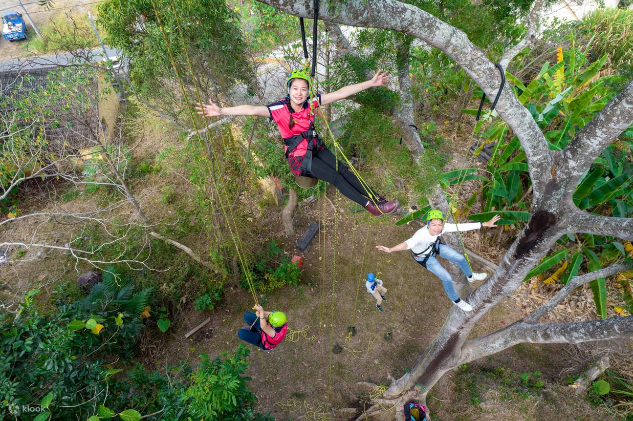 Yunlin: Half-Day Outdoor Activities (Tree Climbing / DIY) - Klook