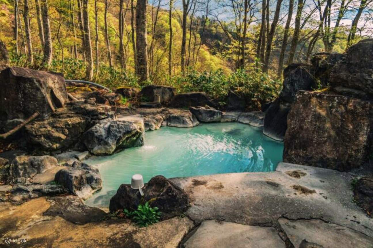 Lake SUP & Wild Onsen Private Activity Tour in Nagano - Klook United Kingdom