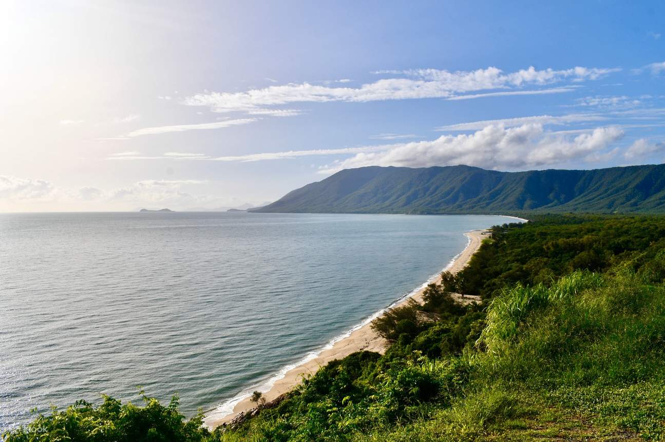 Lawatan ke Cape Tribulation, Daintree Rainforest, & Mossman Gorge dari ...