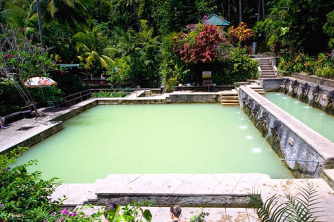 North Bali Dolphin Watching Private Trip - Klook