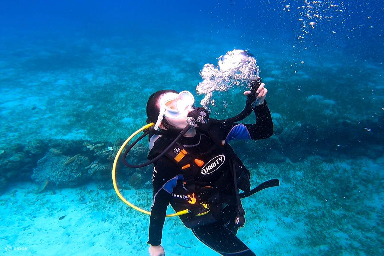 开放水域潜水员认证 在 Mactan Cebu 学习水肺潜水 Klook客路