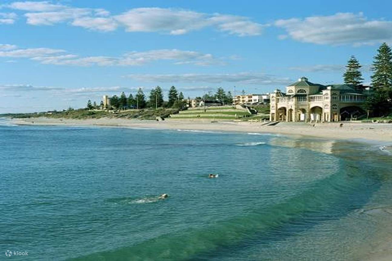 Perth & Fremantle Half Day City Bus Tour - Klook