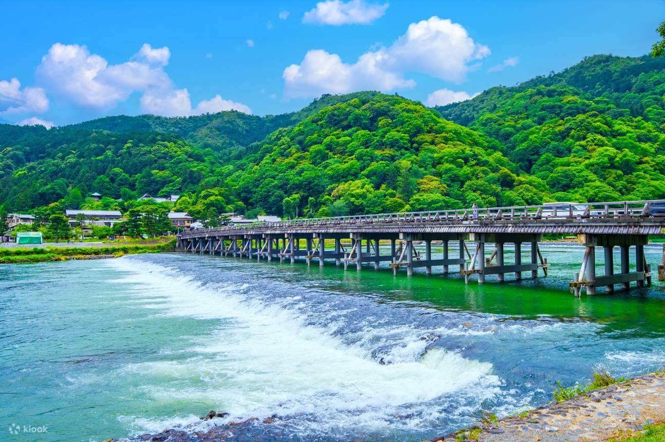 Tour di un giorno dei templi e dei santuari di Kyoto da Kyoto: Fushimi ...