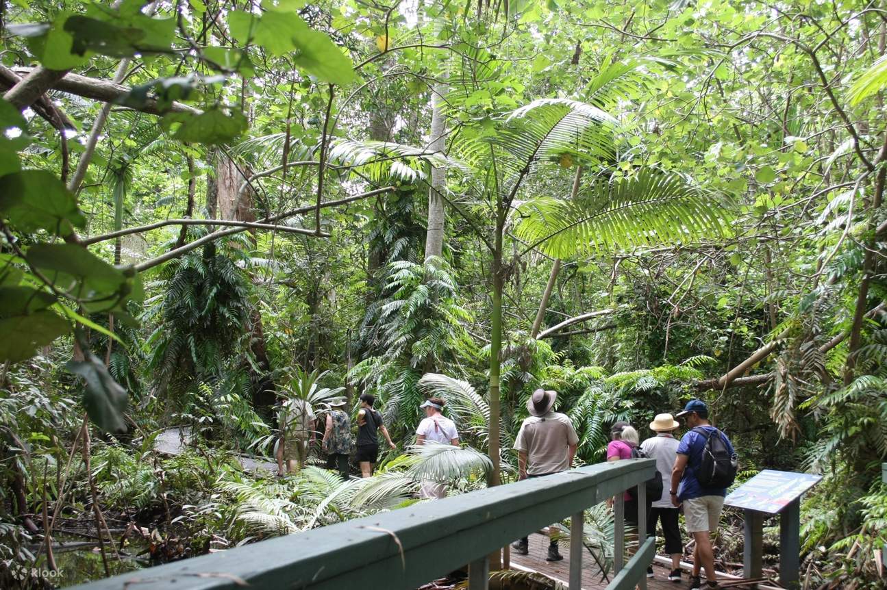 Waterfall, Wetlands, and Skyrail Day Tour from Cairns - Klook