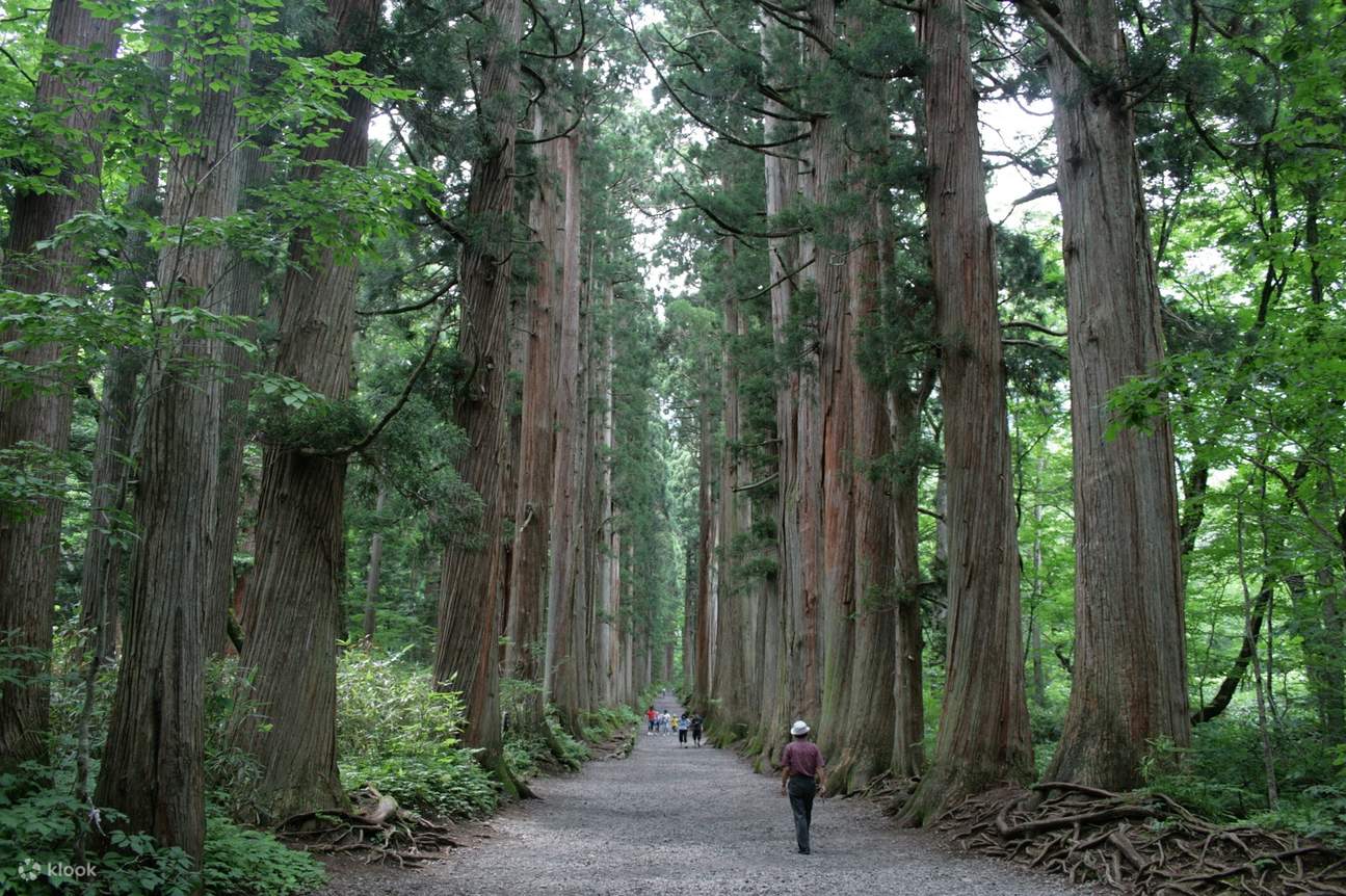 Enjoy Fireworks, Sightseeing, Onsen in Niigata 2 Day Tour from Tokyo ...