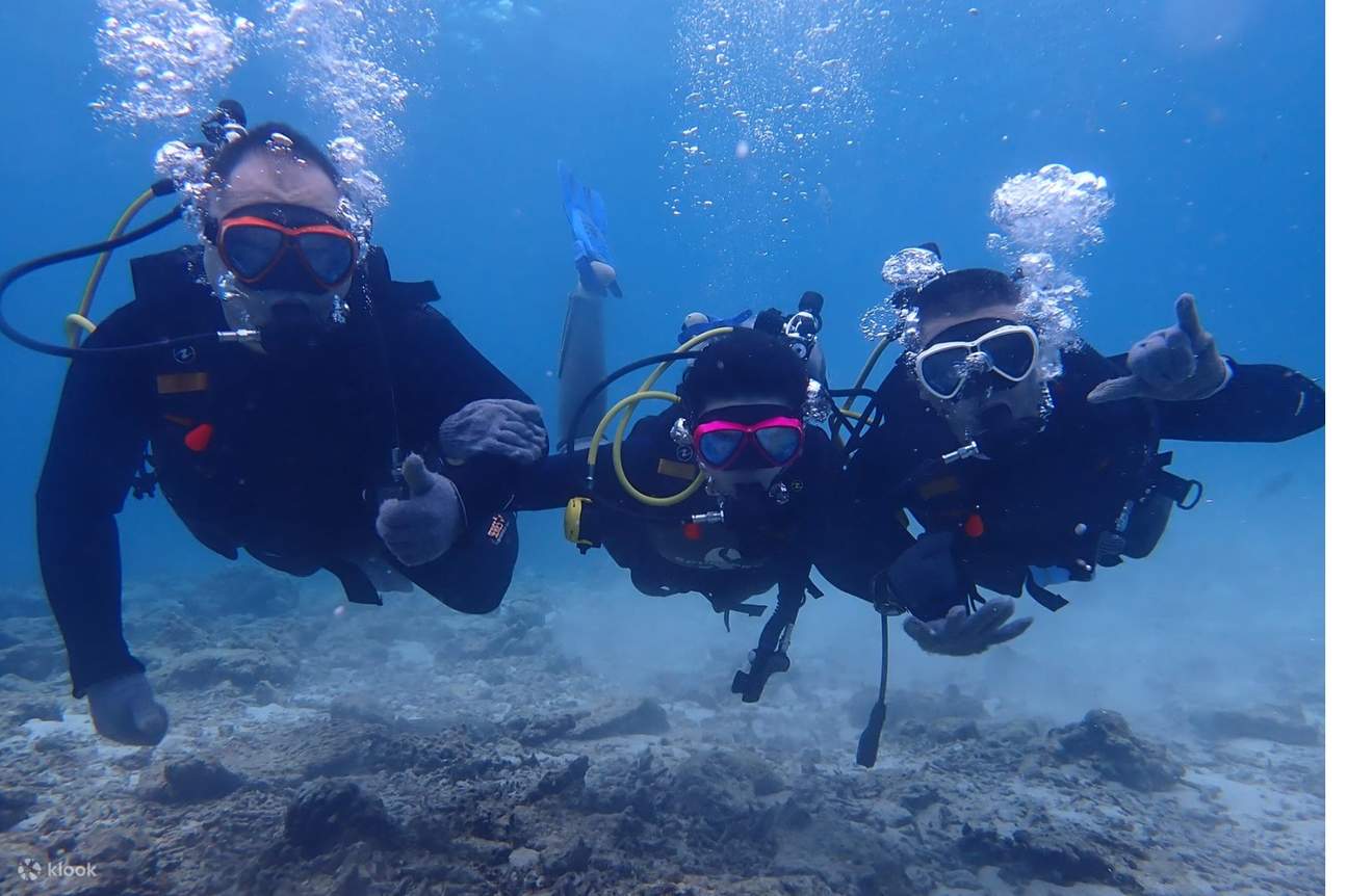 Immersive Okinawa Blue Caves: Snorkeling / Diving Experience, Choose ...