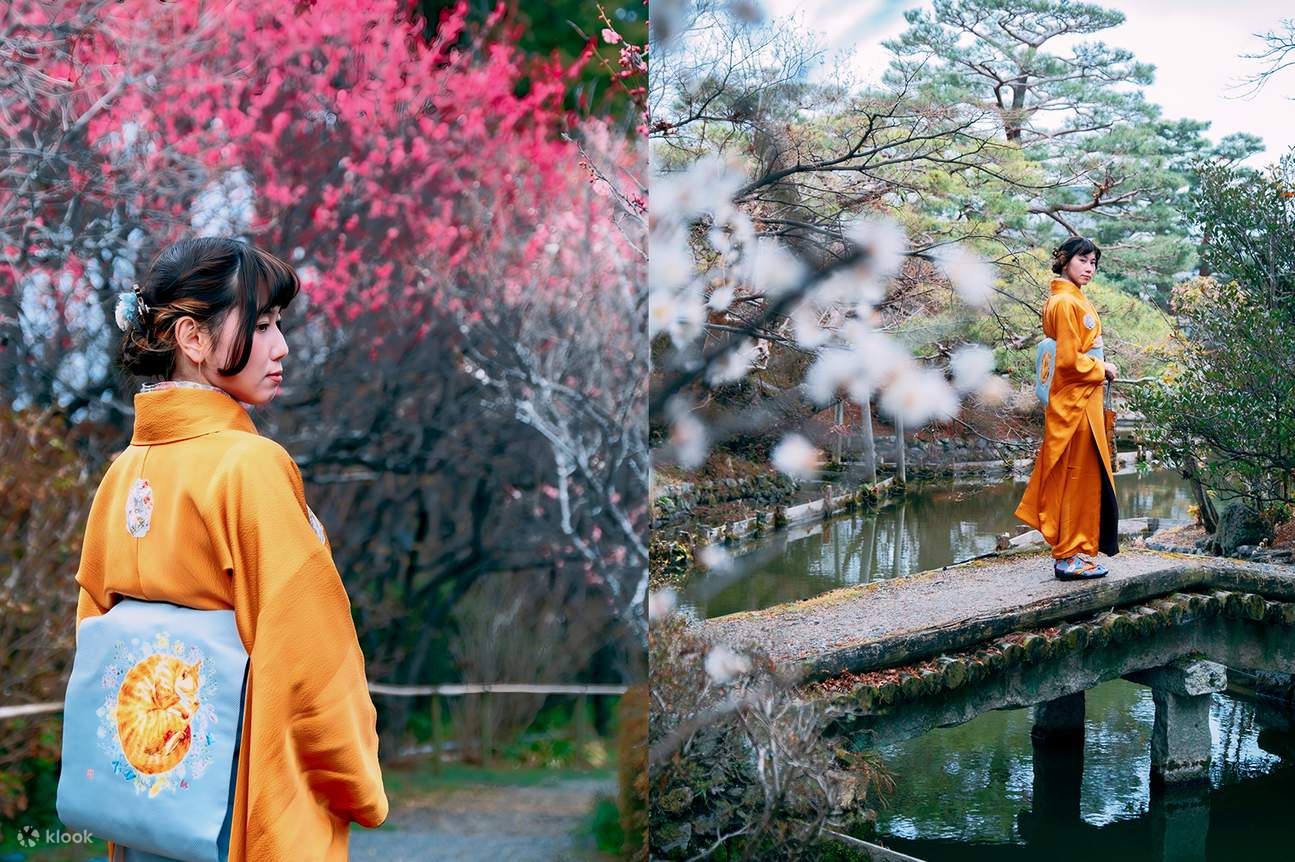 Kyoto Cat-Themed Kimono Experience - Klook
