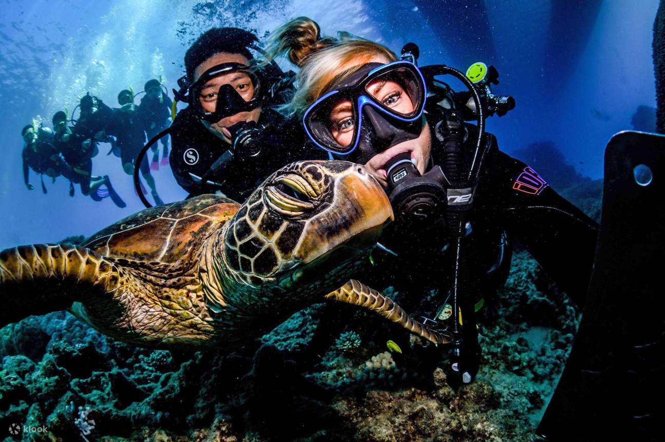 4 Day PADI Open Water Course in Great Barrier Reef - Klook Australia