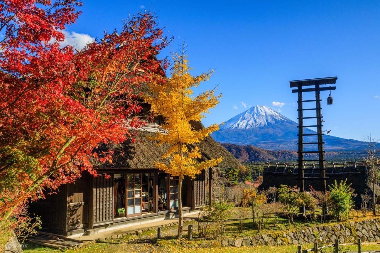 Muslim Friendly Mt. Fuji Day Tour with Halal Lunch & Prayer Time ...
