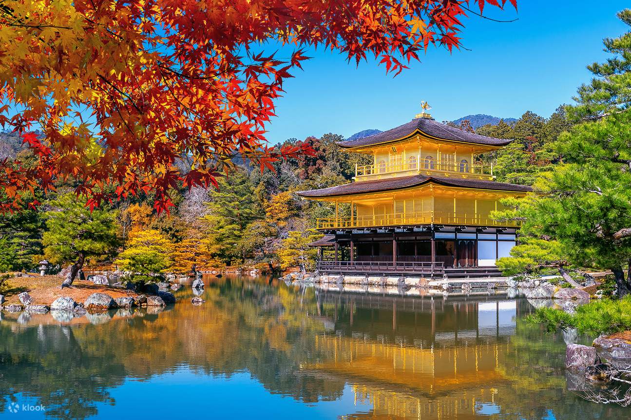 Autumn in Kyoto: Minoh, Sagano Train, Arashiyama & Kinkakuji - Klook ...