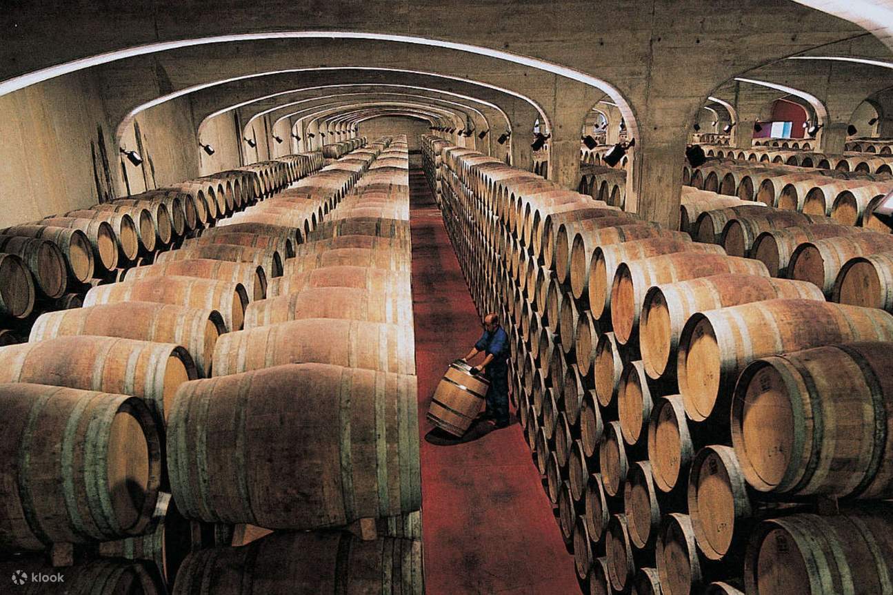 Rioja and Ribera del Duero Wineries Private One Day Tour from Madrid ...