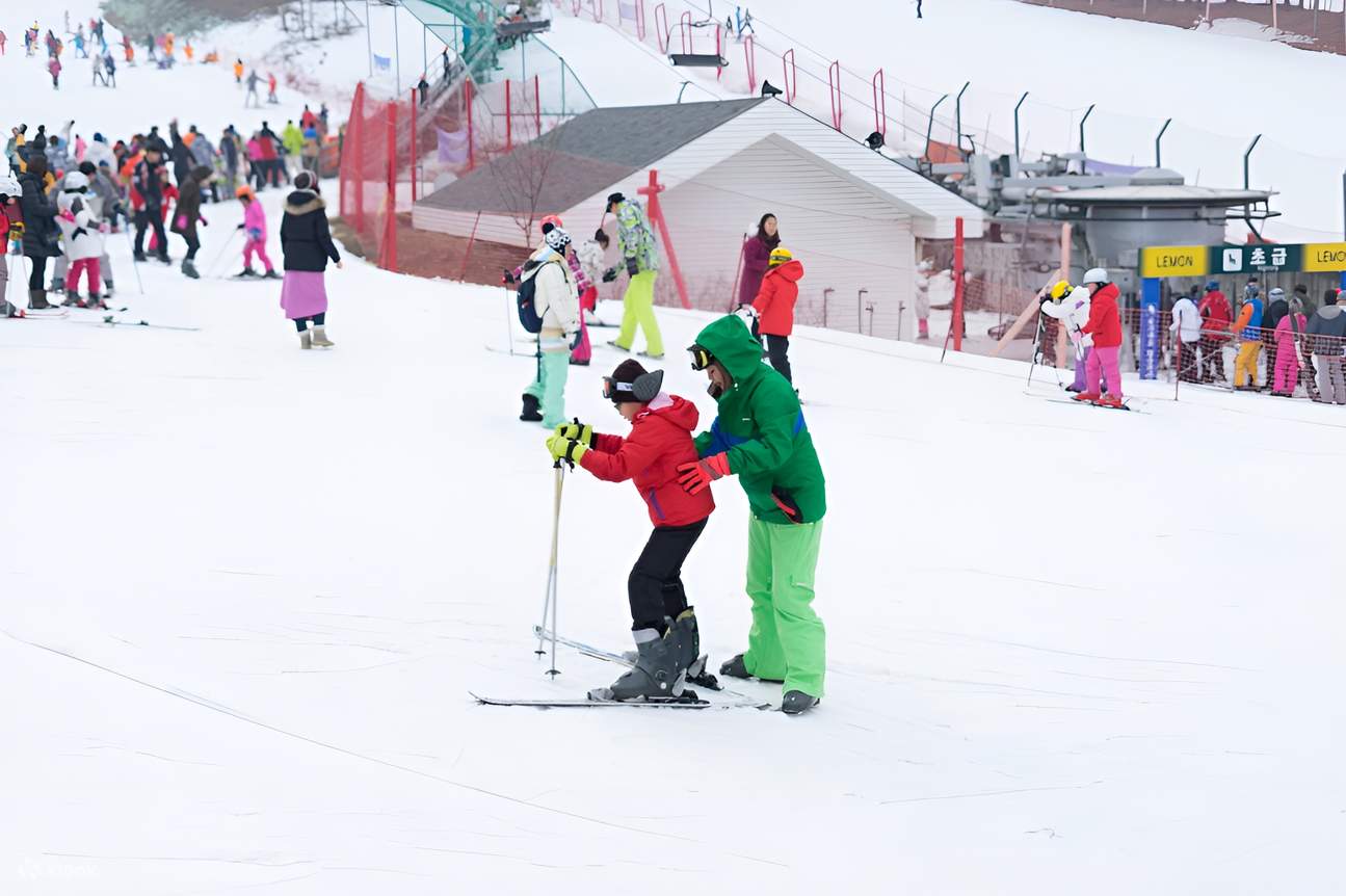 Jisan Forest Ski Resort Sightseeing Trip and Winter Sports Experience ...