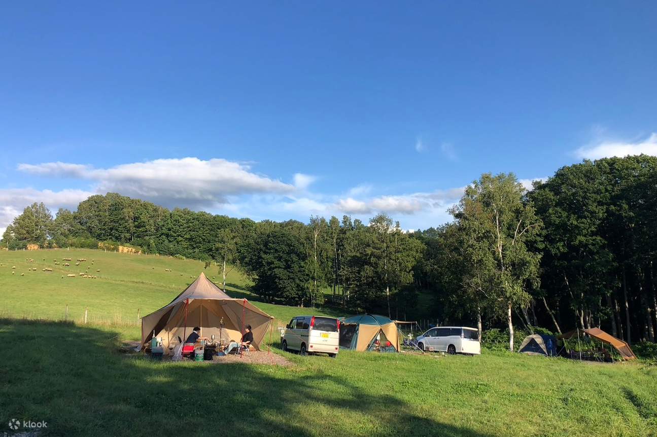 4 Hour Private Pecora Bonfire Campground Day Camp Experience in ...